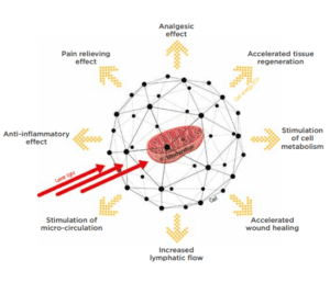 Wound Healing - Pain Reduction - Photobiomodulation